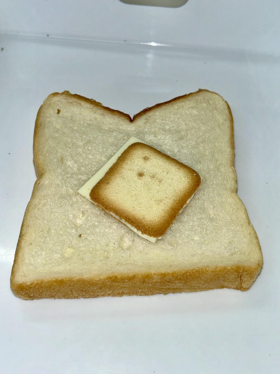 ️『白い恋人達が降って来たよ。』 ️ ... / minirollさんのモーメント | YAMAP / ヤマップ