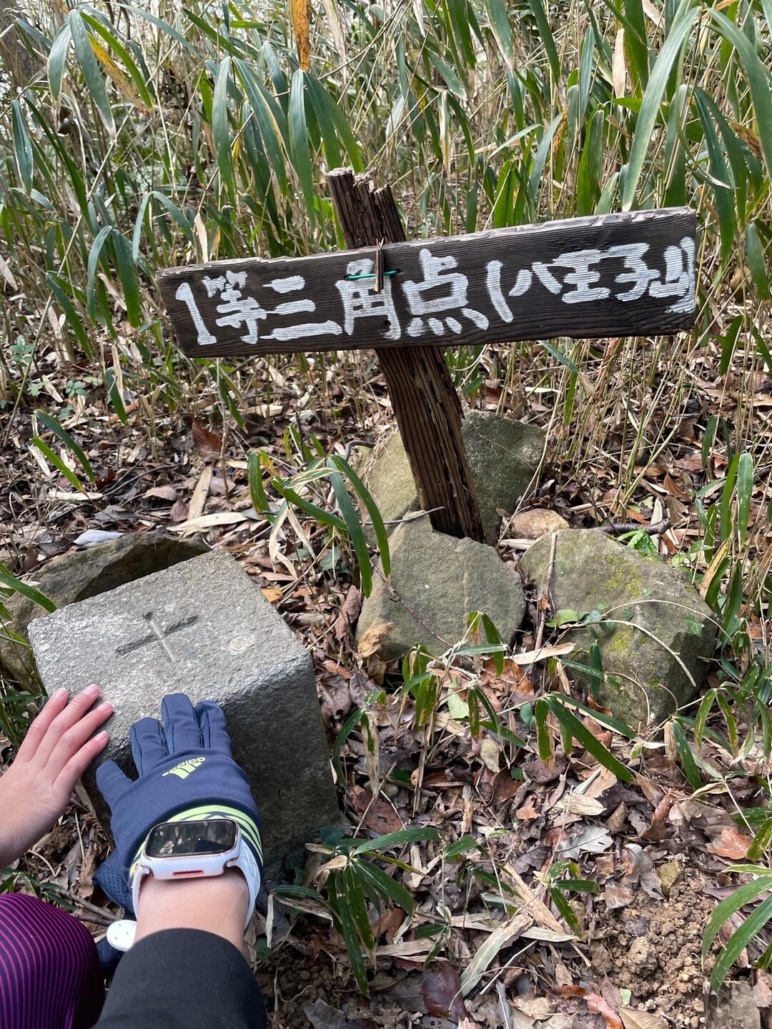 八王子山 / ☆taemon☆さんの鳴門市の活動データ | YAMAP / ヤマップ