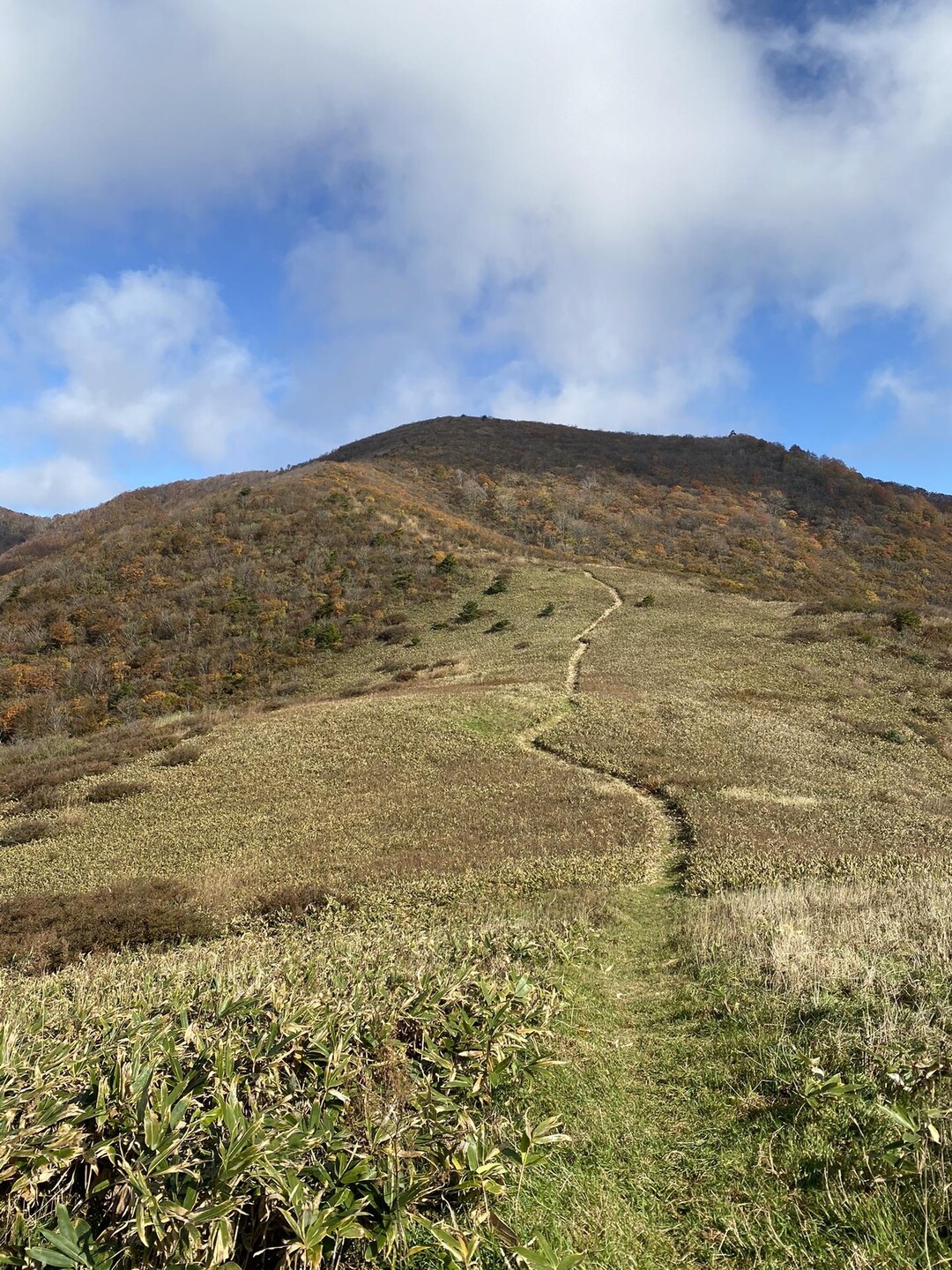 龍ヶ岳 / Tak@DMさんの龍ヶ岳の活動データ | YAMAP / ヤマップ