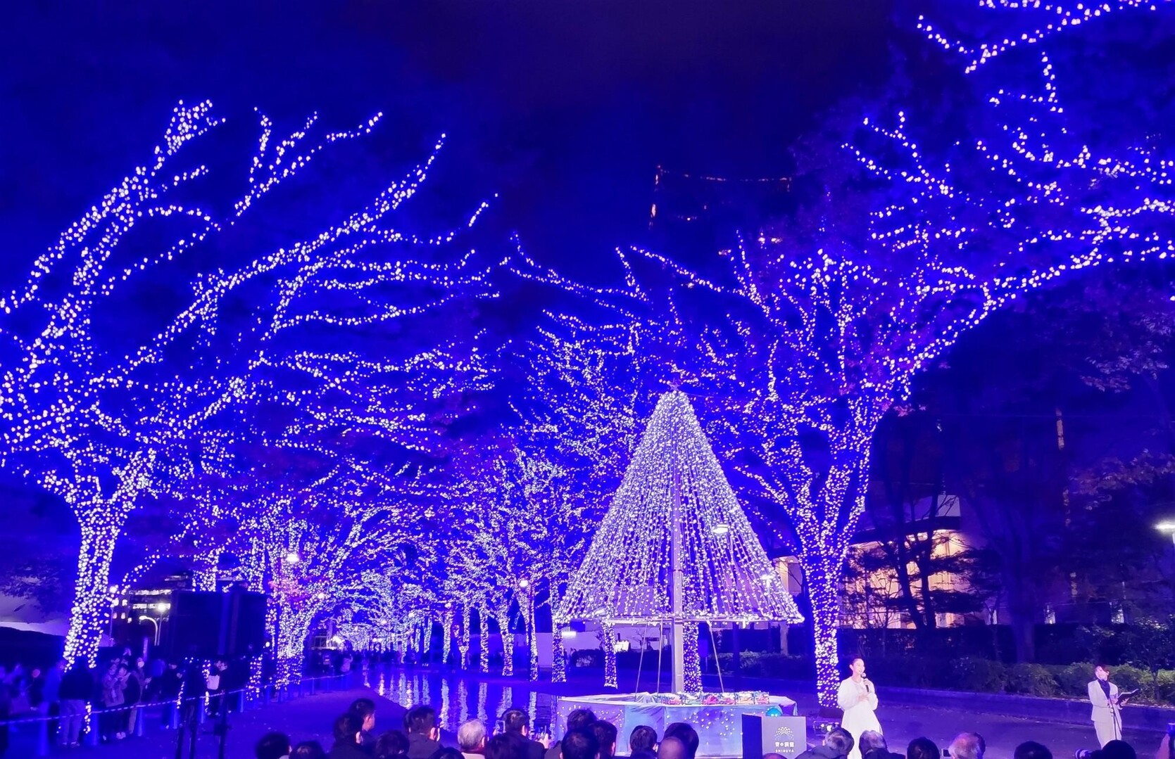 12月1日からXmasの12月25日まで... / Yuuki.Yさんのモーメント | YAMAP / ヤマップ