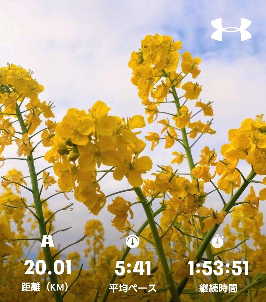 フルマラソン1週間前、20kmのジョギン... / ふっきーさんのモーメント | YAMAP / ヤマップ