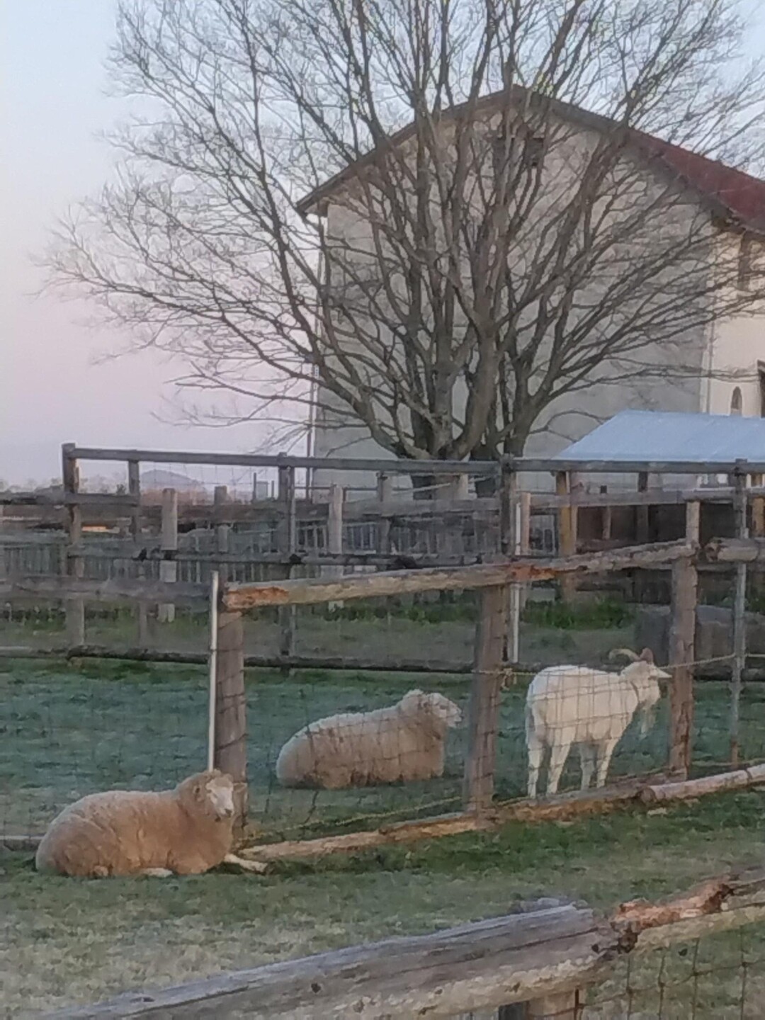 朝running-2023-03-30 / べにさんの登山の活動データ | YAMAP / ヤマップ