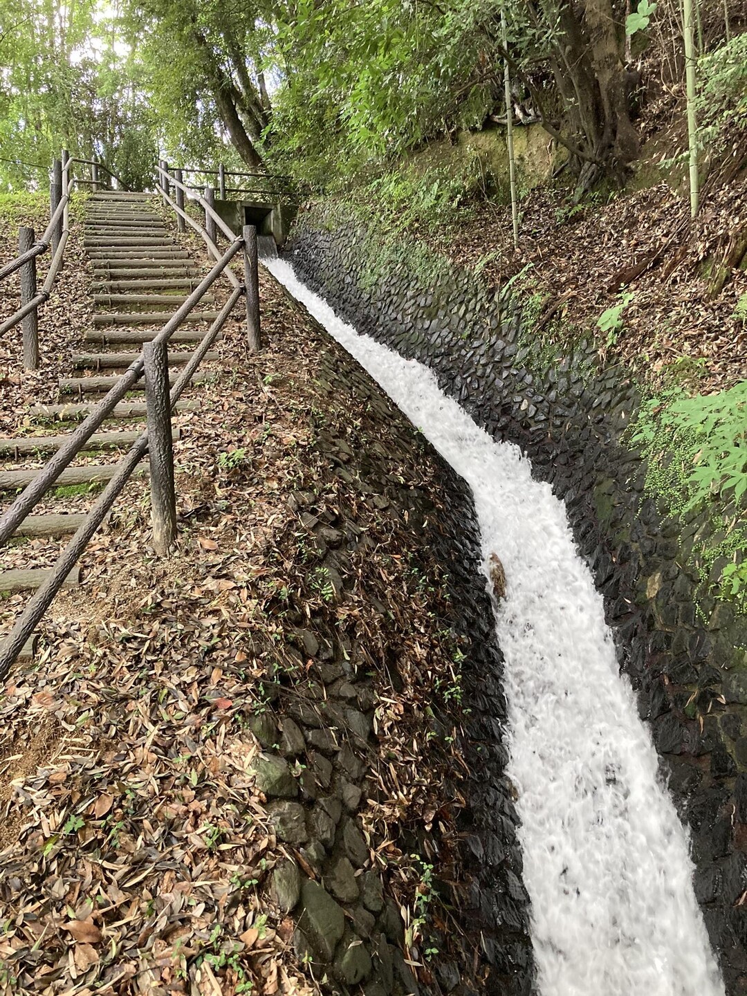 十石掘 / taka.run-skiさんの石尊山の活動データ | YAMAP / ヤマップ