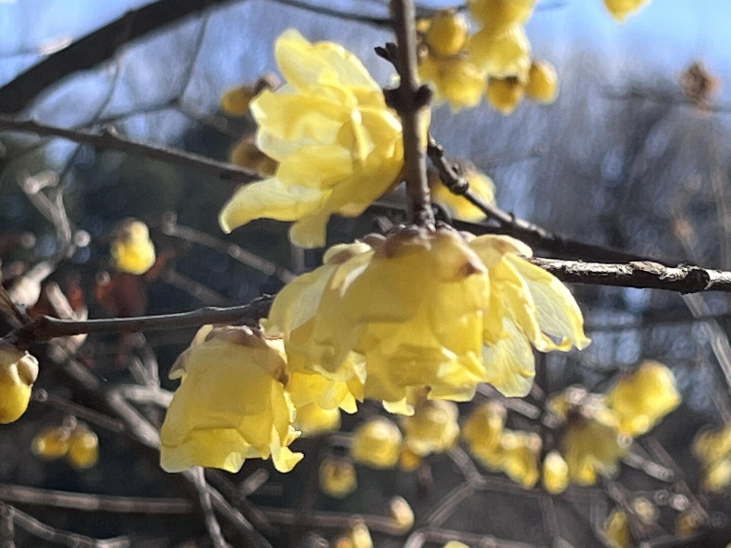 崇台山-2023-01-21 / rinさんの崇台山の活動データ | YAMAP / ヤマップ