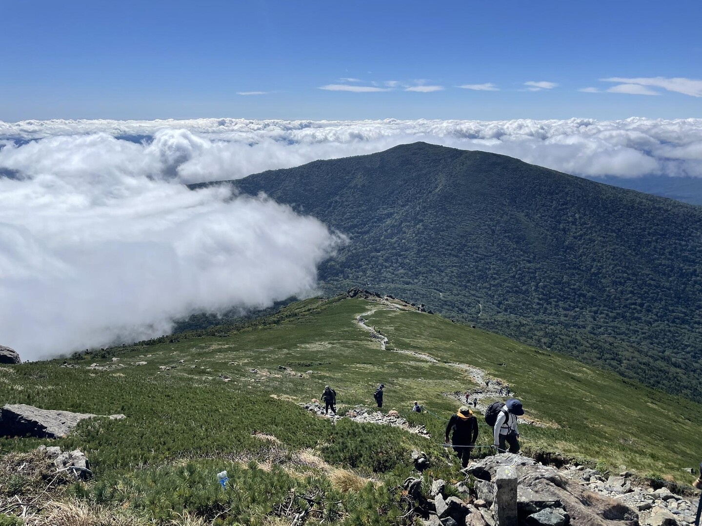 早池峰山 / Niko niko さんの早池峰山・薬師岳・鶏頭山の活動データ | YAMAP / ヤマップ