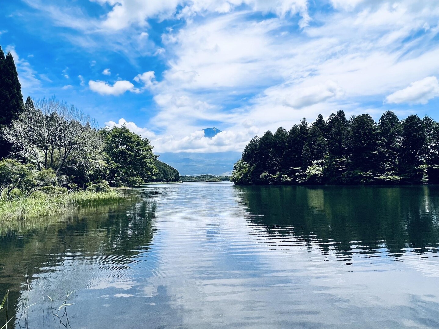 長者ヶ岳・天子ヶ岳 / ZUNさんの長者ヶ岳・天子ヶ岳の活動データ | YAMAP / ヤマップ