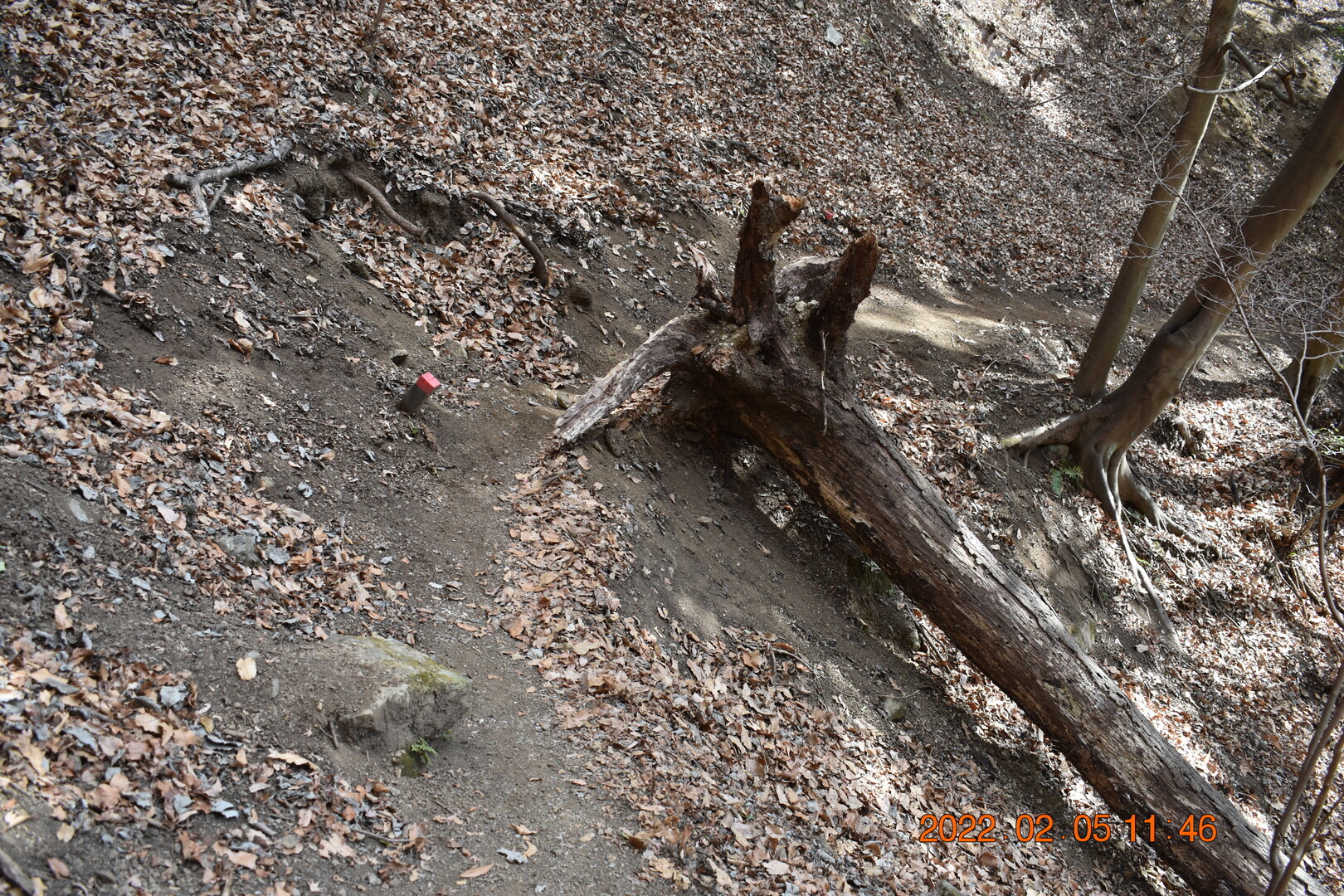 ピエール・HOSHIさんの投稿したフィールドメモ | YAMAP / ヤマップ