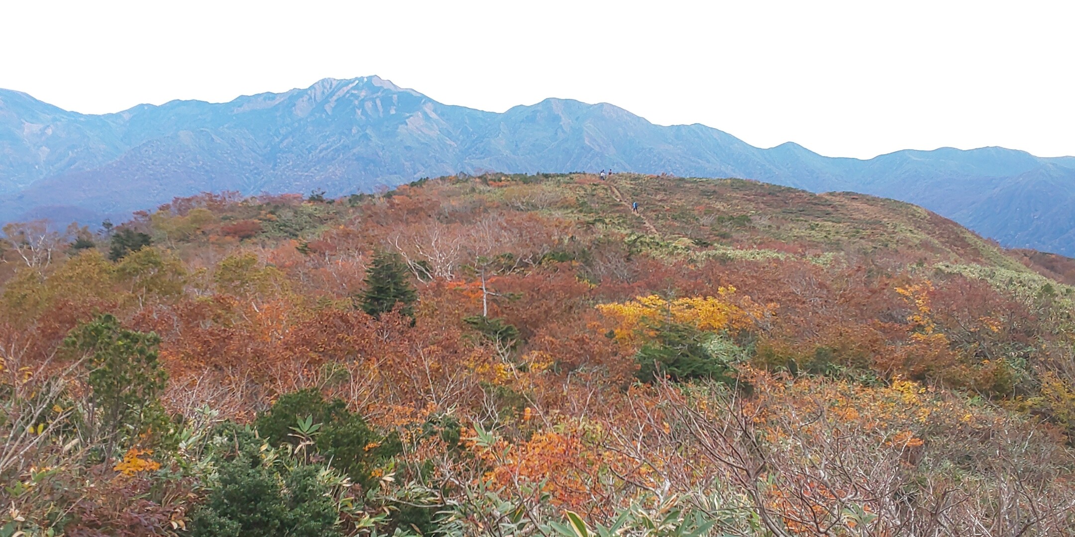 赤兎山🐰 🍁艶やかな世界🍁 / tolucky(^^)さんの赤兎山・猪鼻山の活動データ | YAMAP / ヤマップ