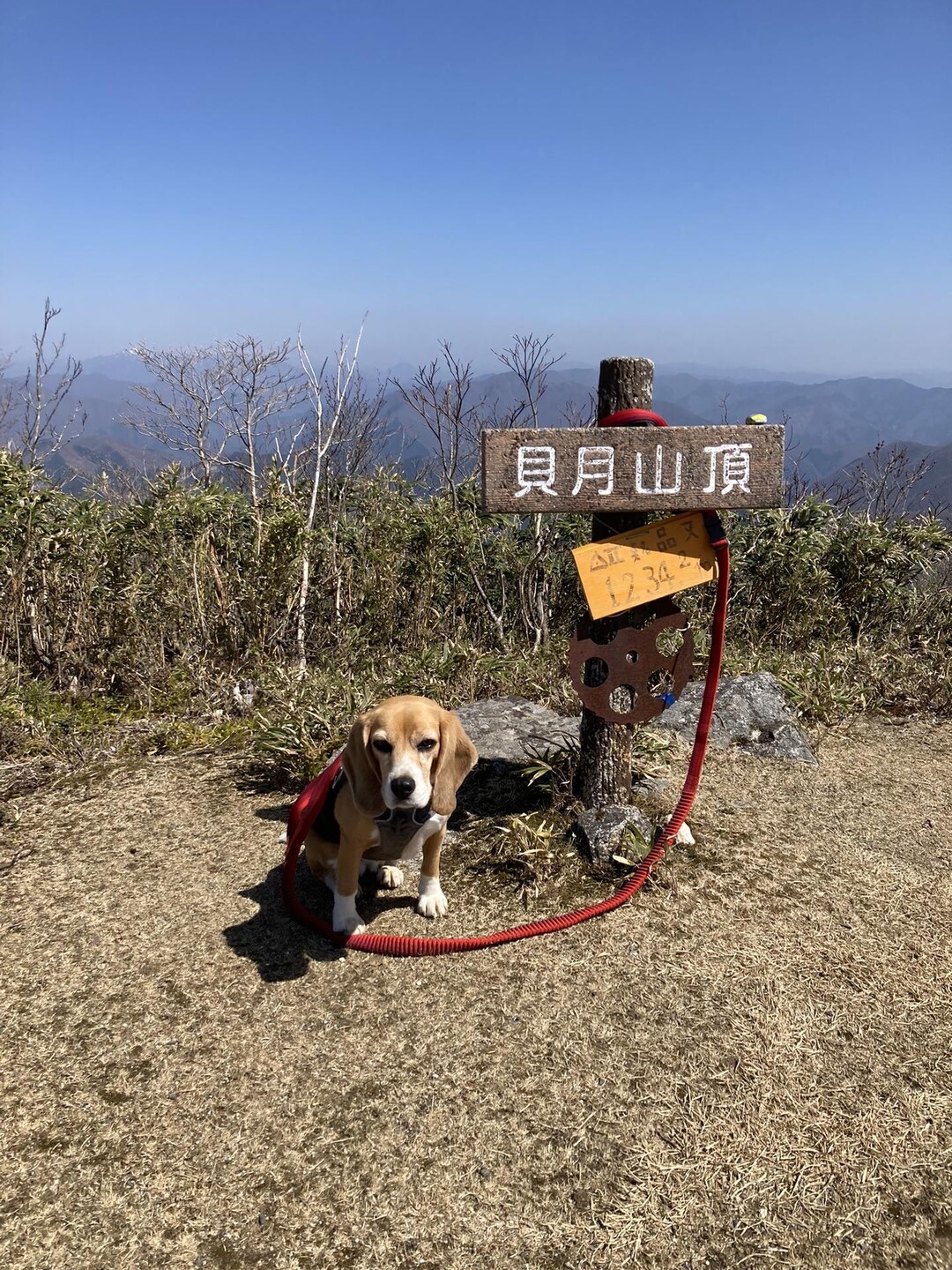 小貝月山・貝月山 / 山旅犬🐶ロマチッチ lomachicciさんの貝月山の活動データ | YAMAP / ヤマップ