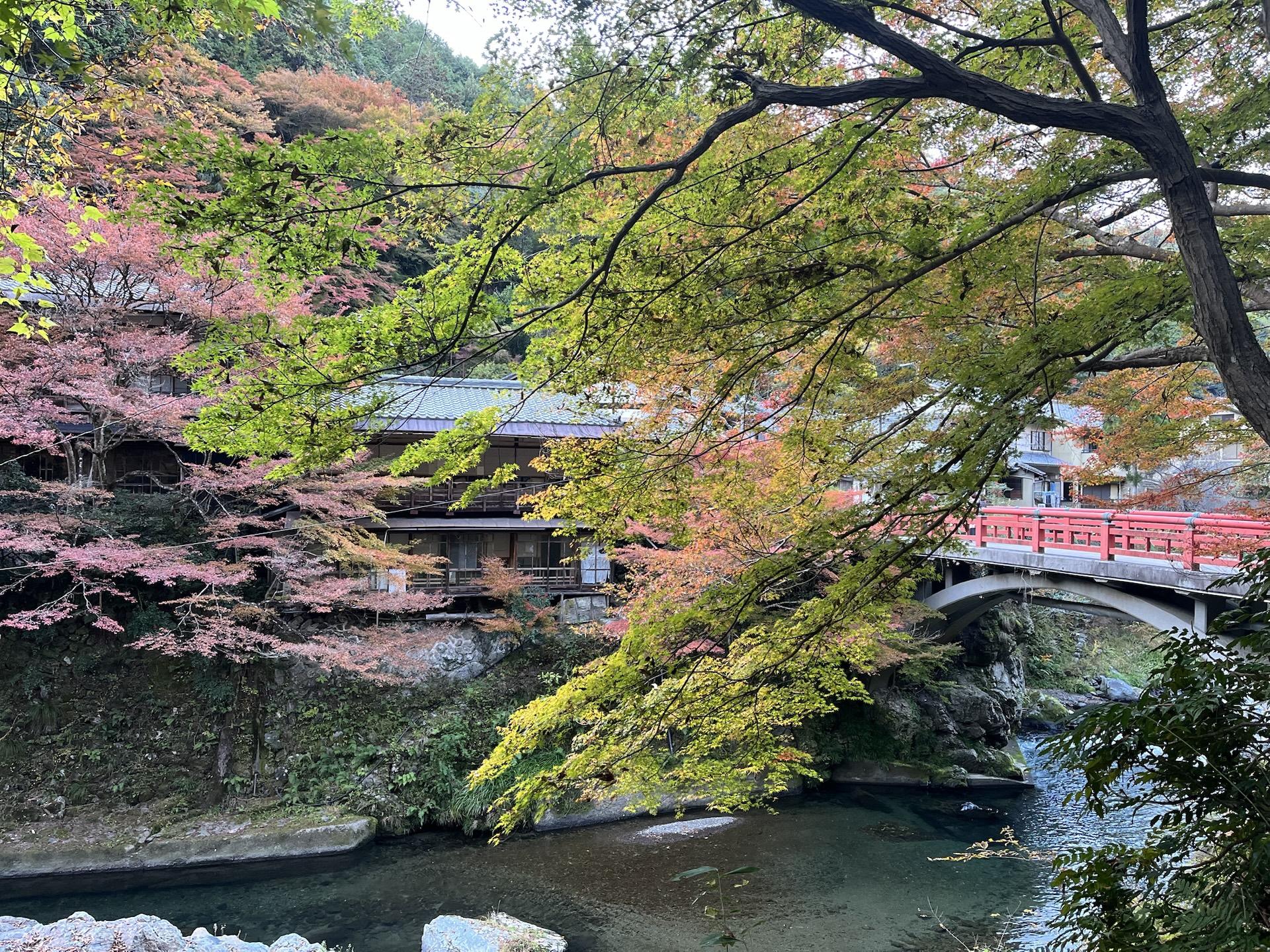 愛宕山 / Mount Walkerさんの愛宕山・三頭山・朝日峯の活動データ | YAMAP / ヤマップ