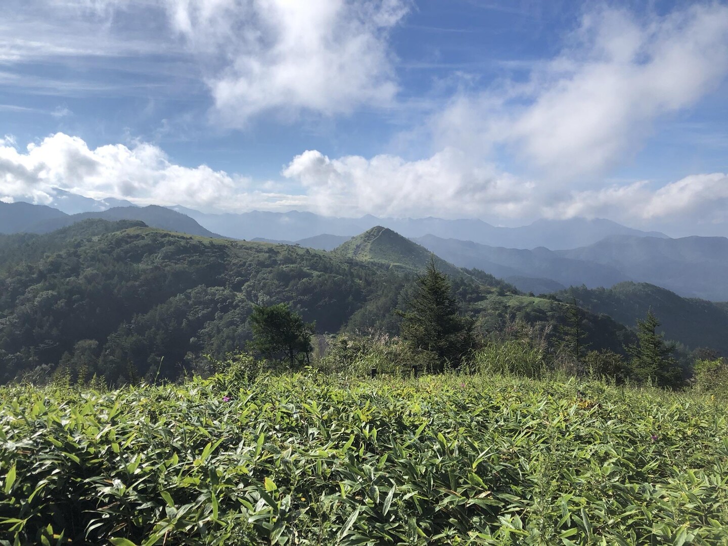 平沢山・飯盛山 08/22/2023 / ykさんの飯盛山の活動データ | YAMAP / ヤマップ