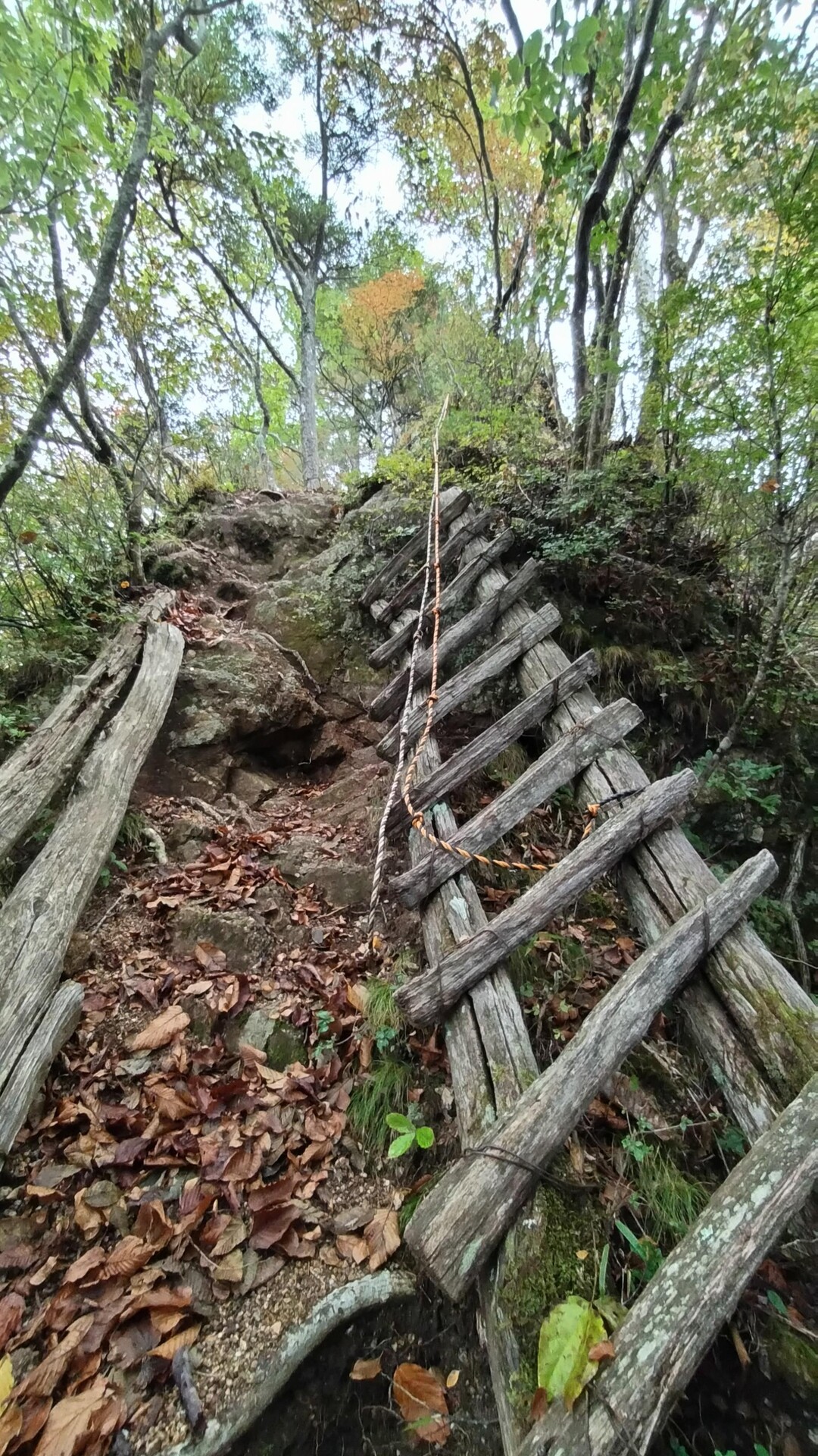 日本シリーズ第1戦 日本ヶ塚山 / たかひでさんさんの日本ヶ塚山の活動データ | YAMAP / ヤマップ