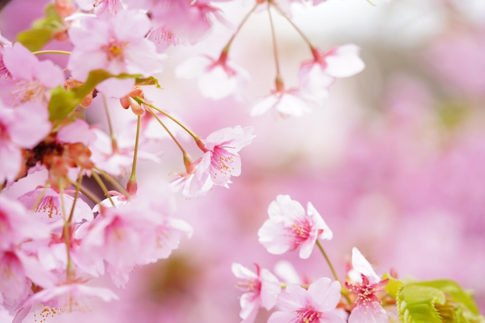 WBC⚾️が激アツ🔥ですネ〜♫ 🤣 ... / T–TAKEさんのモーメント | YAMAP / ヤマップ