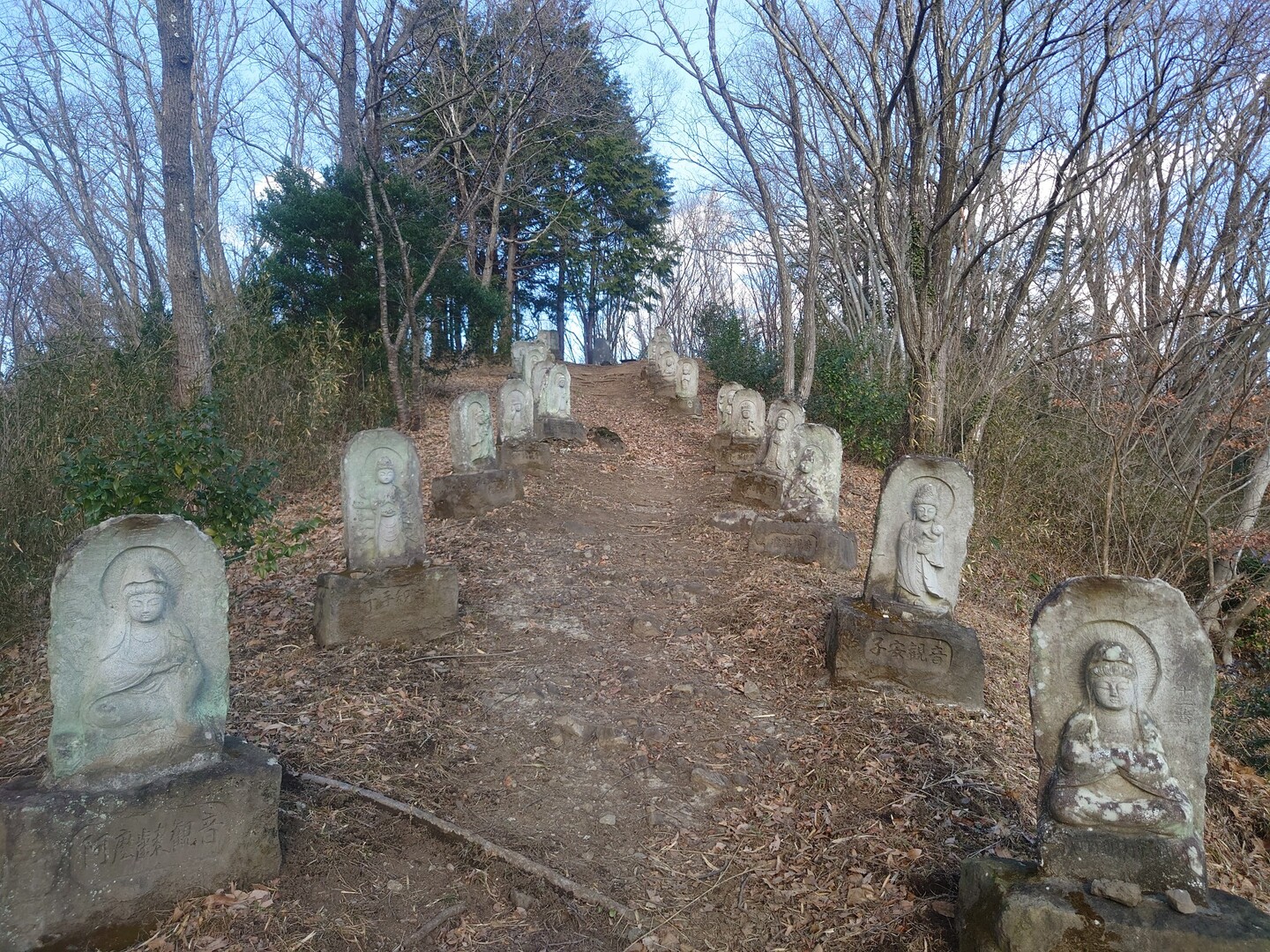 韮神山 / y_kumataさんの羽山の活動データ | YAMAP / ヤマップ