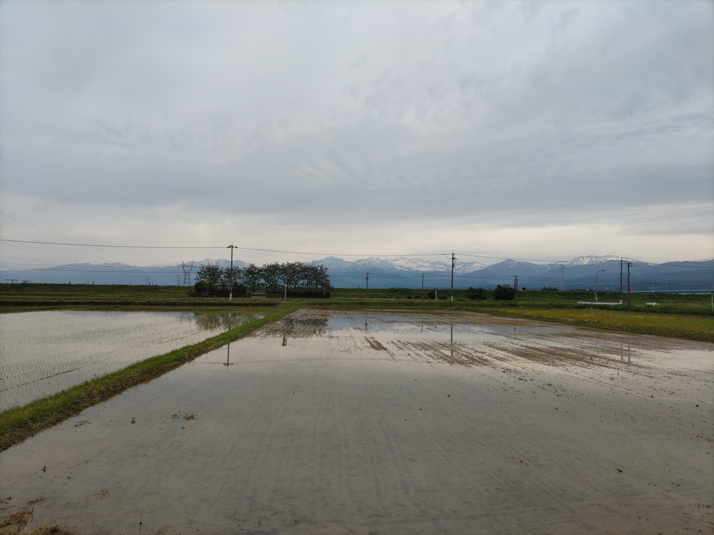リフレクションを眺めながらソロハーフ21.1km -2022-05-15 / ぽ（ファミリーハイクしてます）さんの富山市の活動データ | YAMAP / ヤマップ