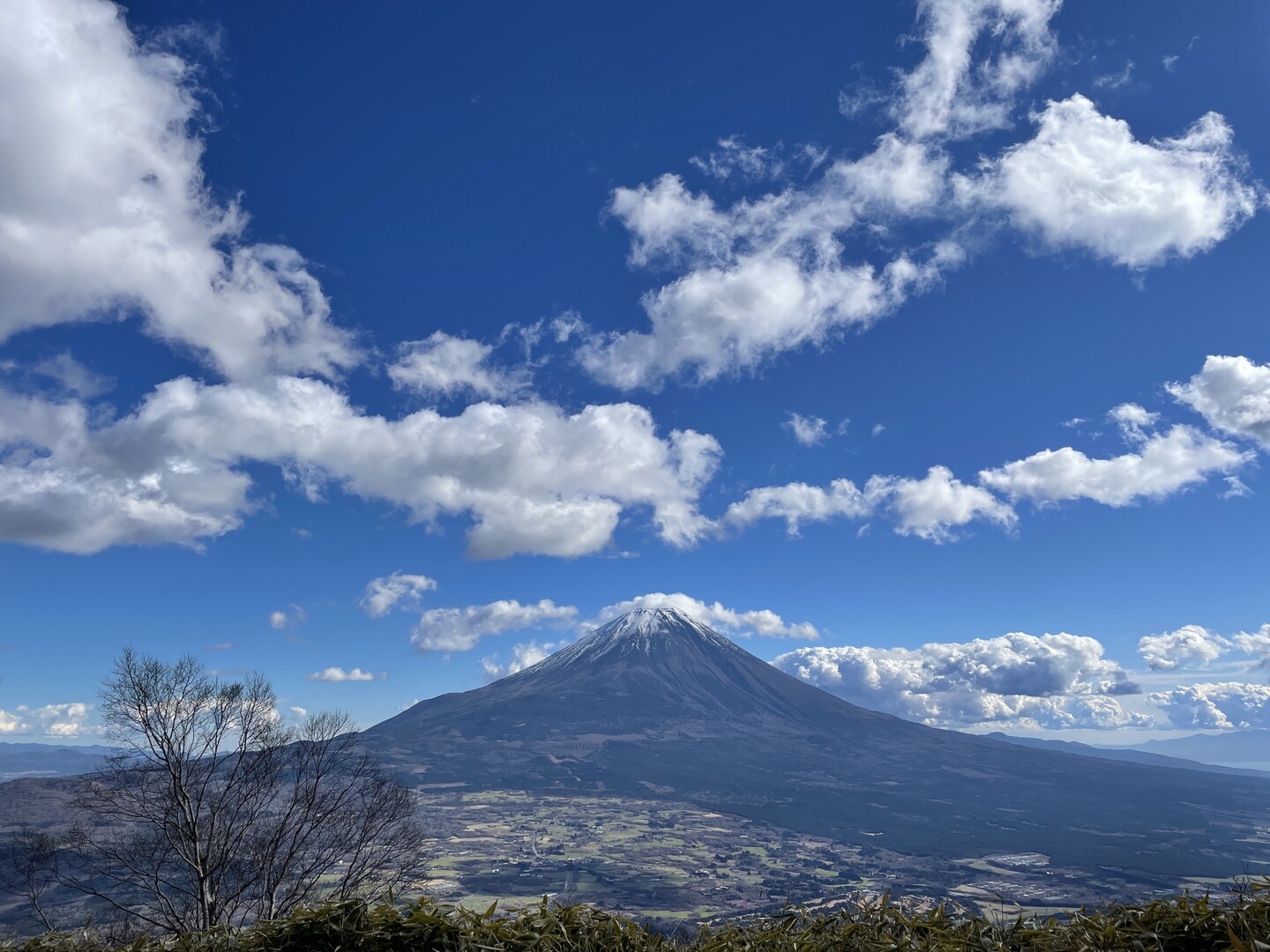 竜ヶ岳・雨ヶ岳 / Alexさんの毛無山・雨ヶ岳・竜ヶ岳の活動データ | YAMAP / ヤマップ