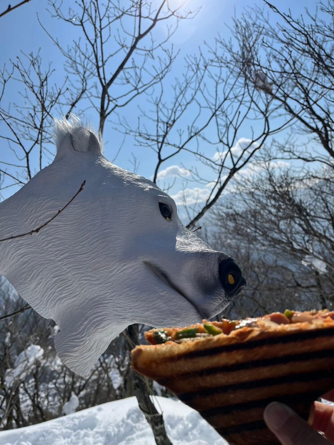 尖山〜千垣山抜けルート お初です😊 / masa😊😁😎さんの尖山の活動データ | YAMAP / ヤマップ