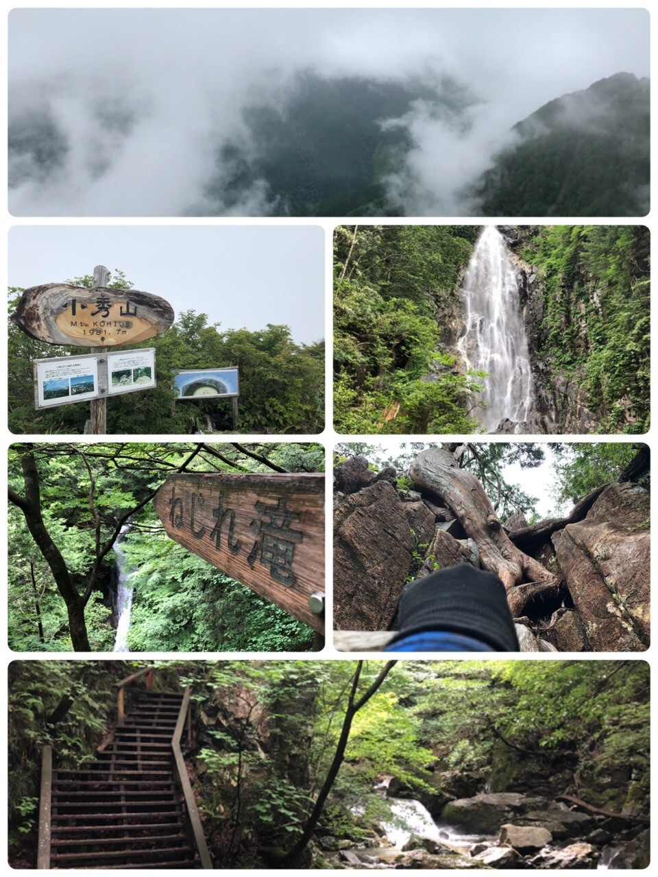 テーマ:ザック 小秀山の山道には沢山の... / TETSUOさんのモーメント | YAMAP / ヤマップ