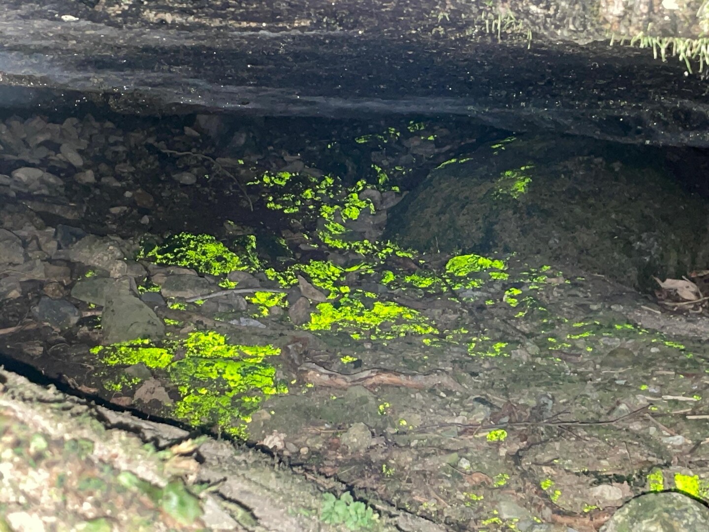 SORAさんの投稿したフィールドメモ | YAMAP / ヤマップ