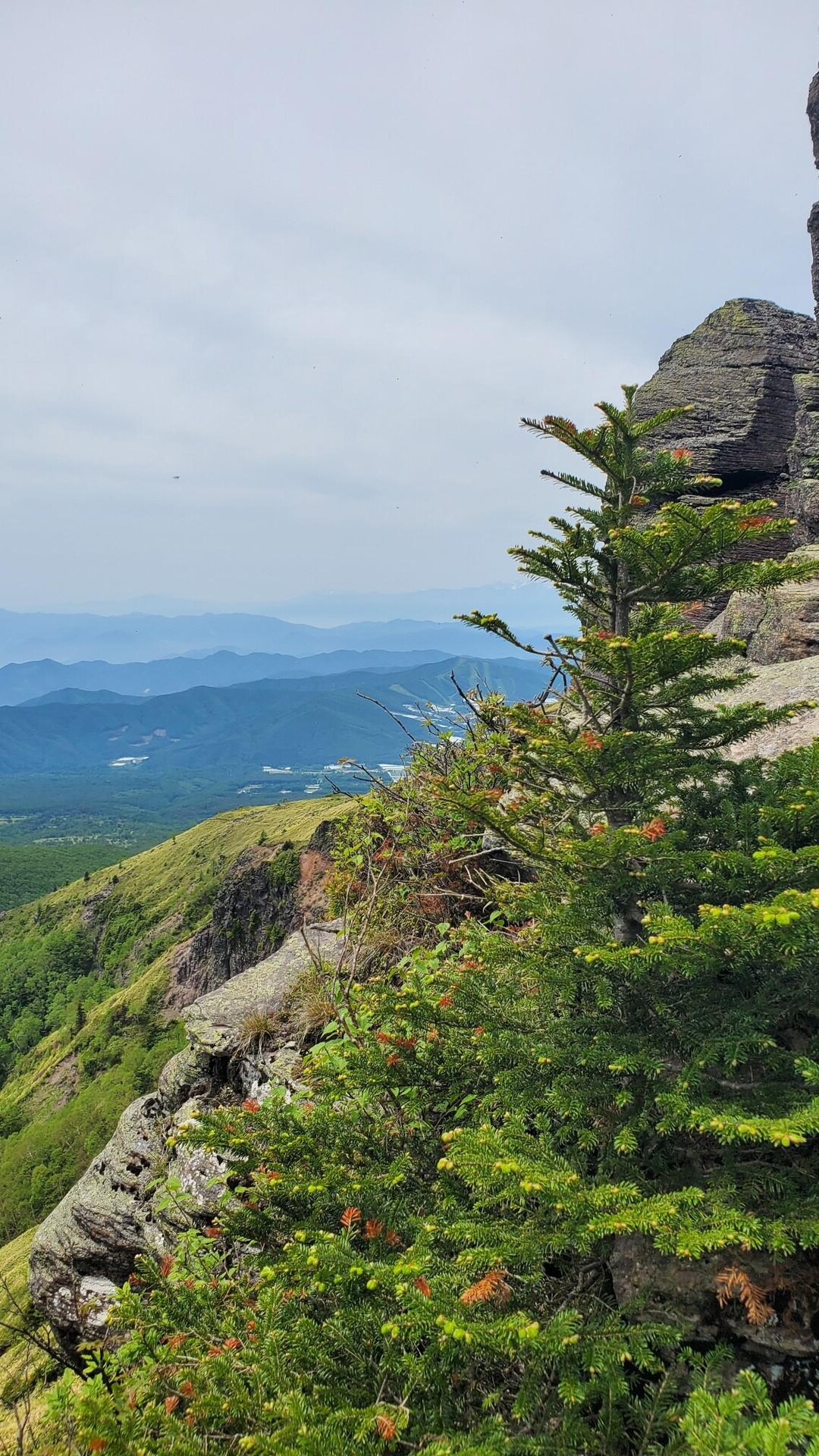 思い出の根子岳 / totoさんの四阿山・根子岳の活動データ | YAMAP / ヤマップ