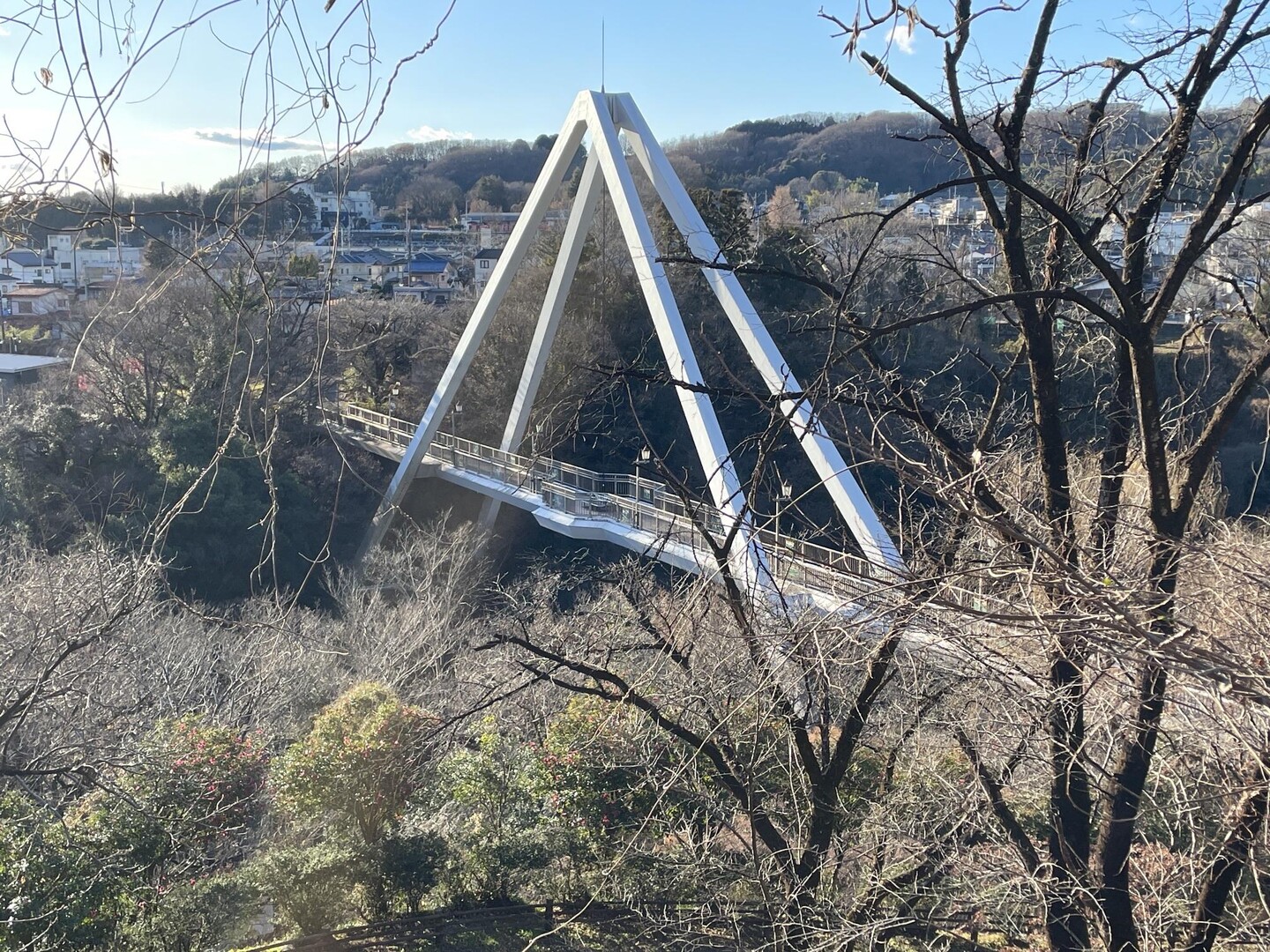 要害山 / ryosukさんの荒神山の活動データ | YAMAP / ヤマップ