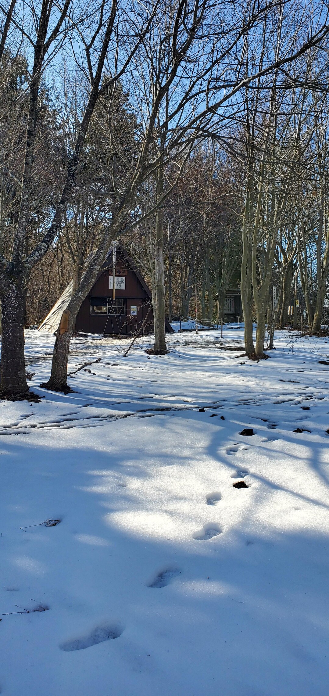 角田山（長者原山） / ヤマガカシさんの角田山の活動データ | YAMAP / ヤマップ
