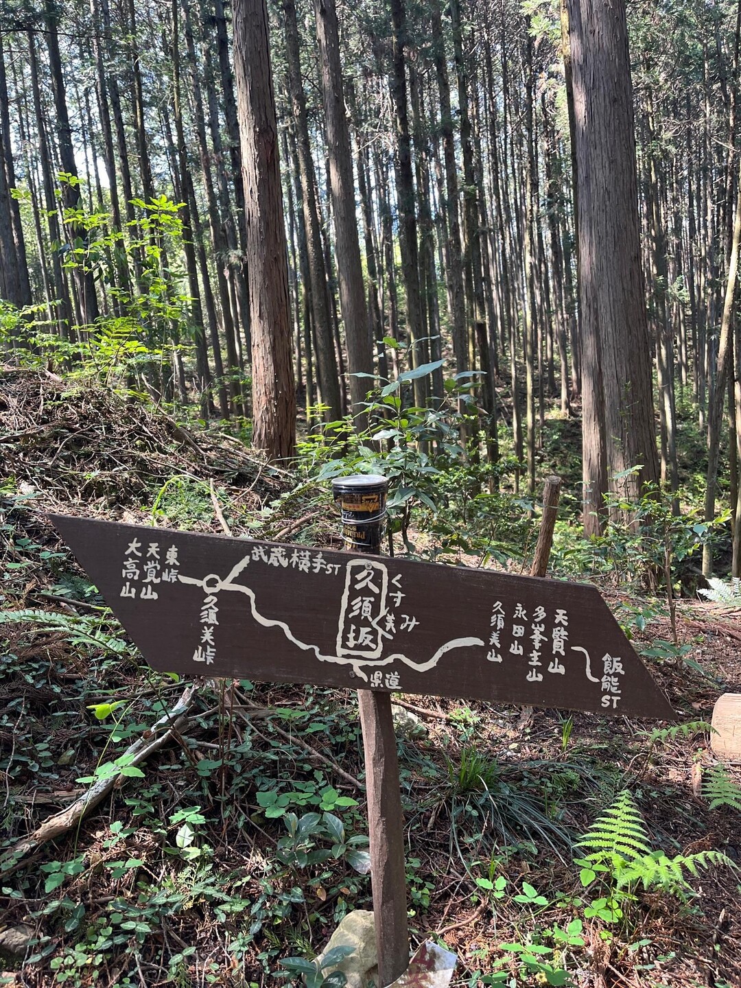 吾野駅〜飯能駅まて飯能アルプス縦走 / aromaさんの天覧山・多峯主山・天覚山の活動データ | YAMAP / ヤマップ