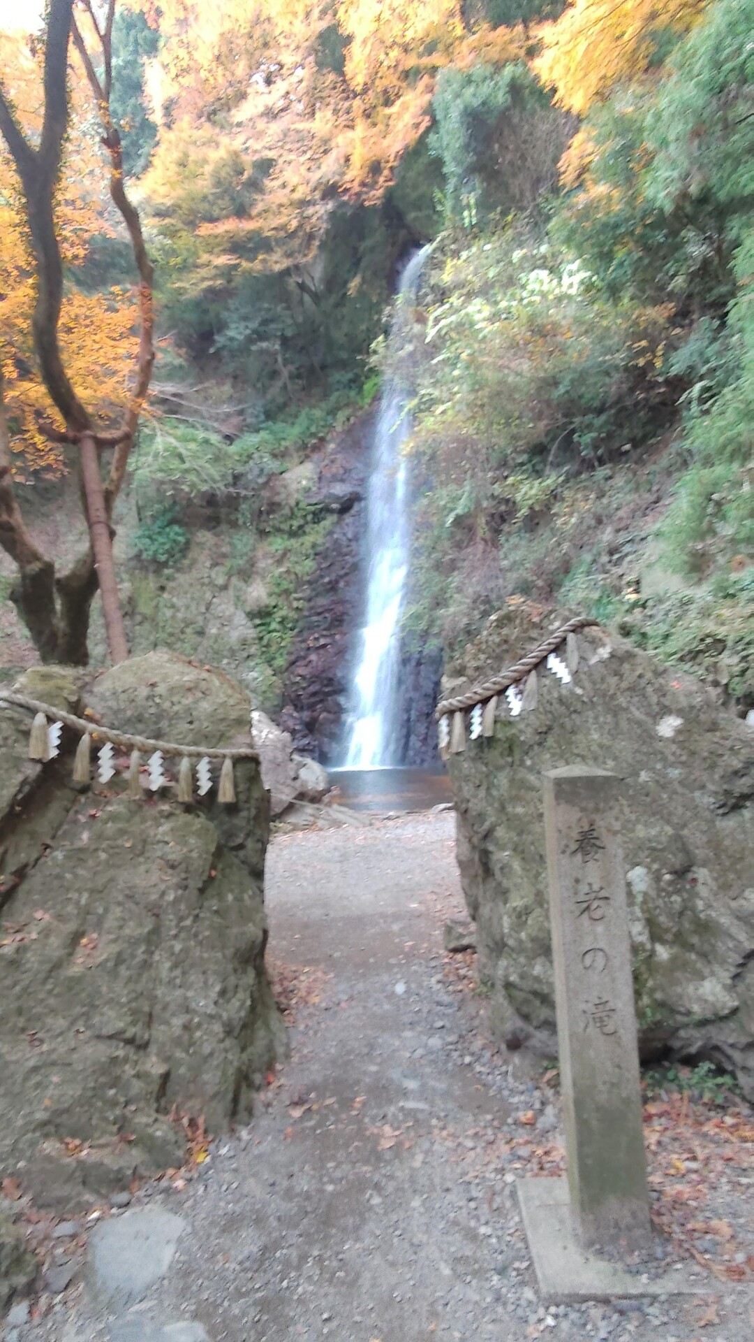 三方山・小倉山・養老山・北尾根P826峰 / ケイスケ24さんの養老山・笙ヶ岳・三方山の活動データ | YAMAP / ヤマップ