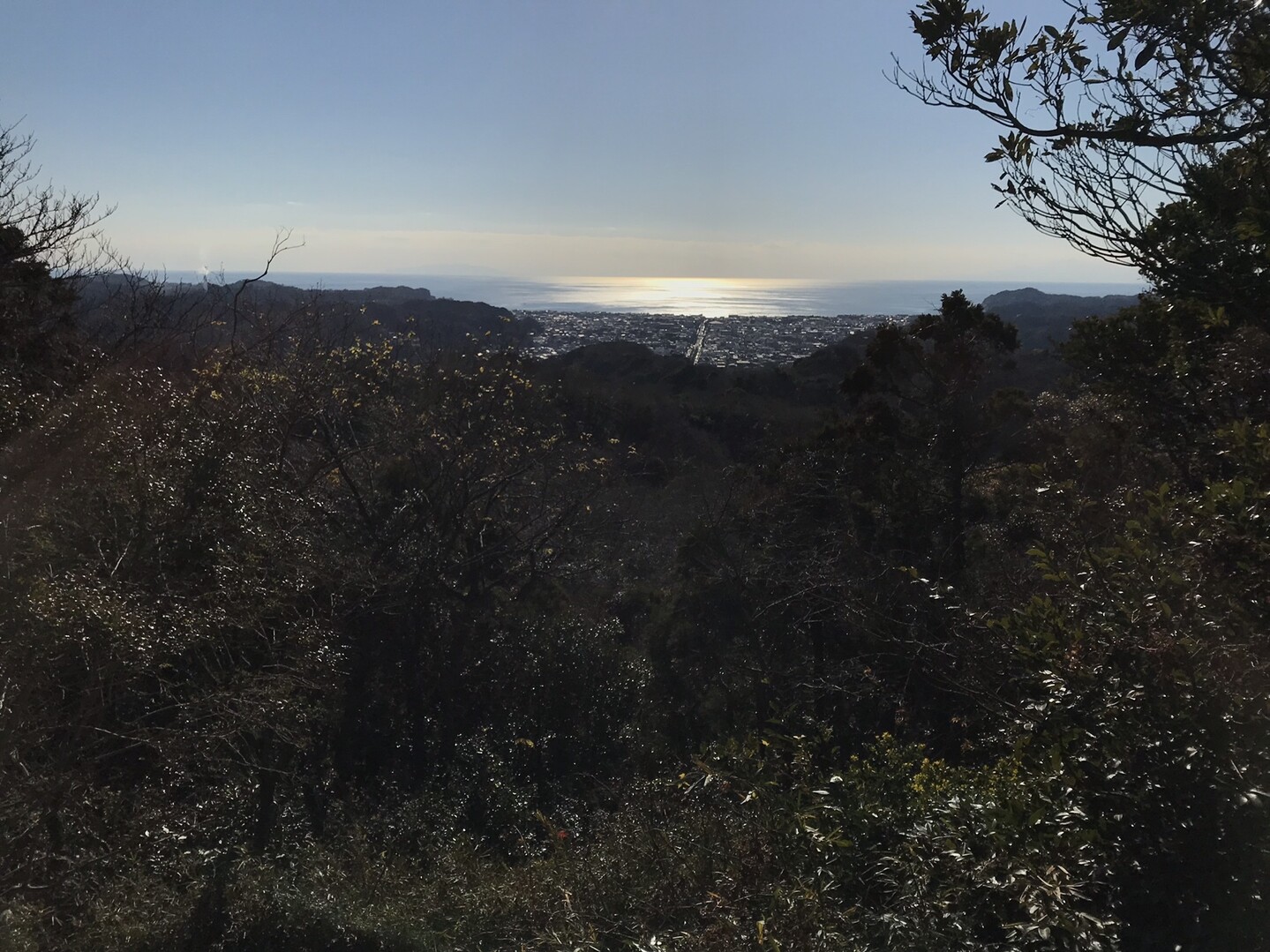 鎌倉アルプス / chobeeさんの鎌倉アルプス（大平山・天台山）の活動データ | YAMAP / ヤマップ