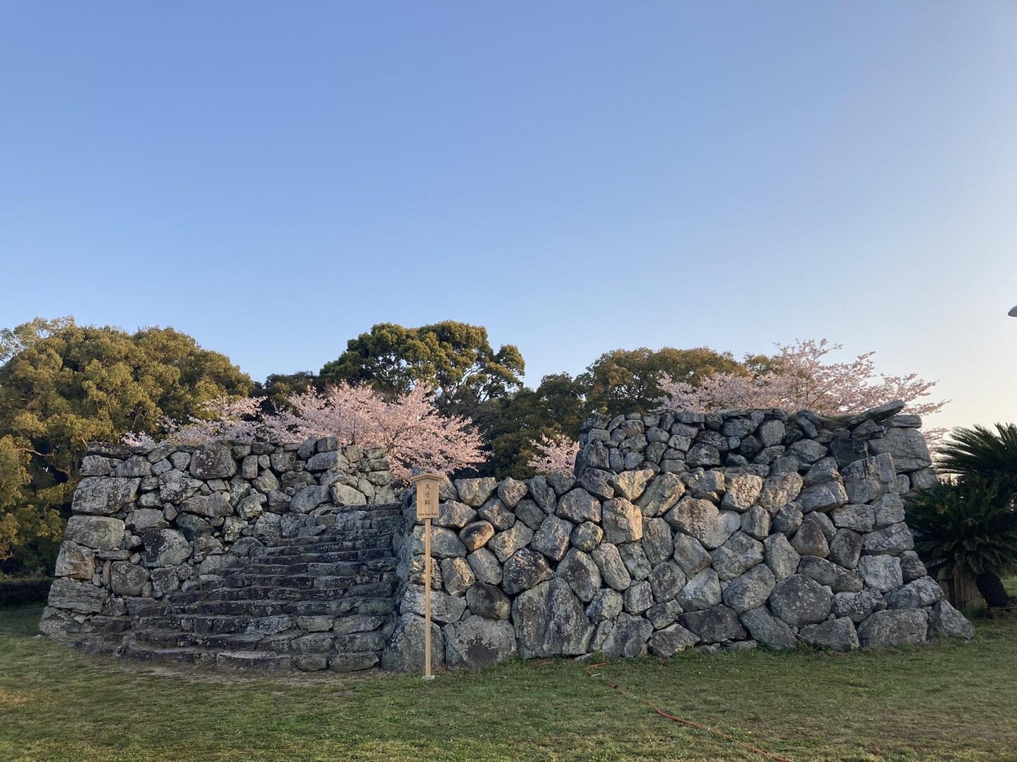 田丸城跡の桜🌸 2023.4.1. / アサミさんのモーメント | YAMAP / ヤマップ