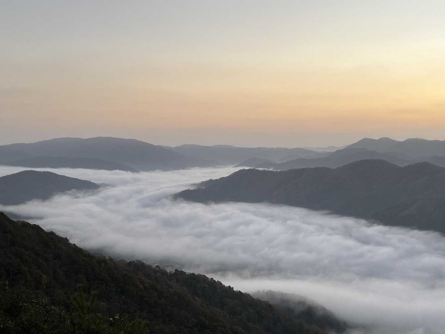荒谷山の雲海 朝早く起きて、白木の荒谷... / DC2 野郎さんのモーメント | YAMAP / ヤマップ