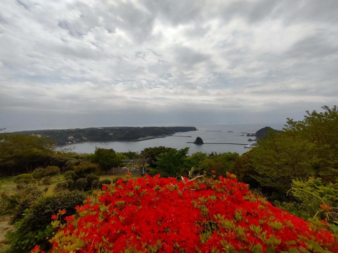 初めてのモーメントです🙂伊豆下田の寝姿... / ラッキーさんのモーメント | YAMAP / ヤマップ