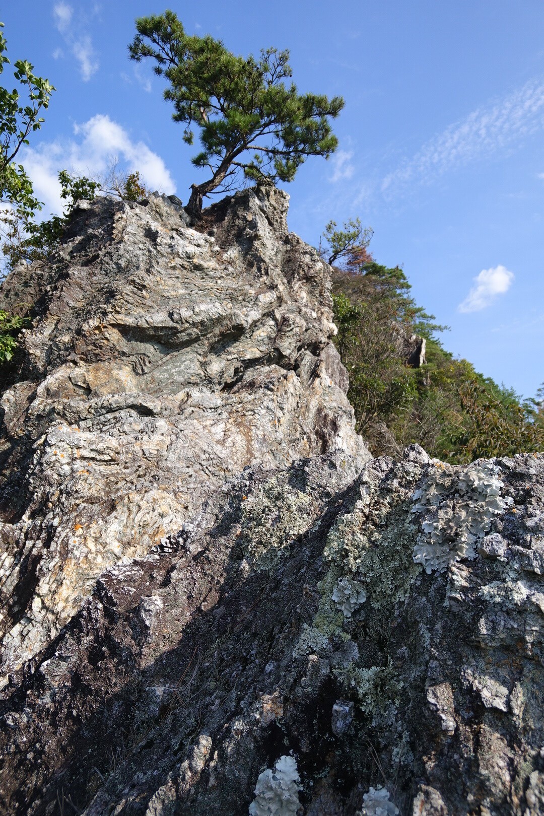 高木山 北尾根マルチピッチ / かめクライマーさんのみのかも健康の森の活動データ | YAMAP / ヤマップ