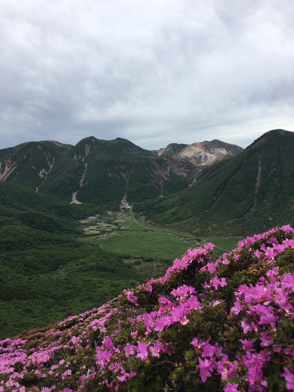 九重山（久住山）・大船山・星生山-2021-06-05 / Mikaさんの九重山（久住山）・大船山・星生山の活動データ | YAMAP / ヤマップ