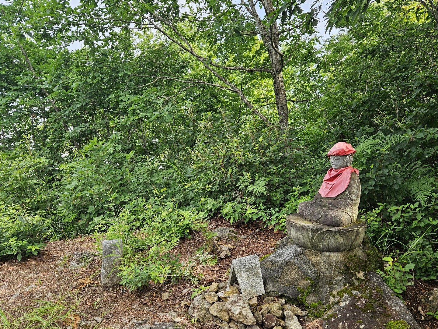 大仏山 2024-07-07 / uruさんの大仏山の活動データ | YAMAP / ヤマップ