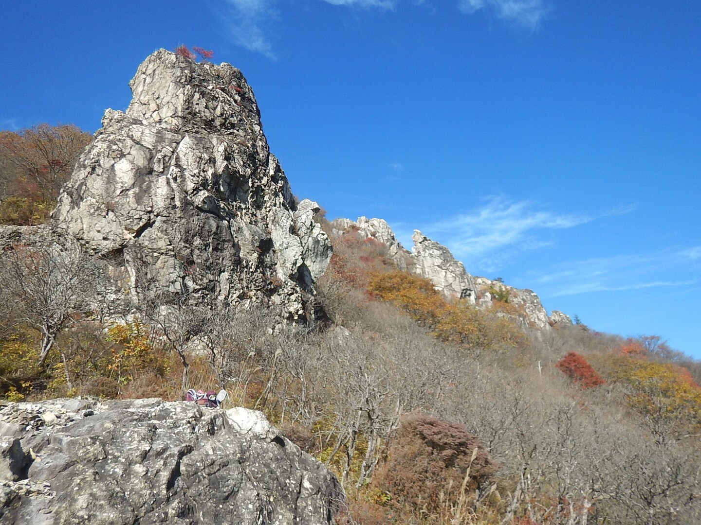 826p~VR~ローソク岩~中倉山~沢入山 / でかさんの社山・半月山の活動日記 | YAMAP / ヤマップ
