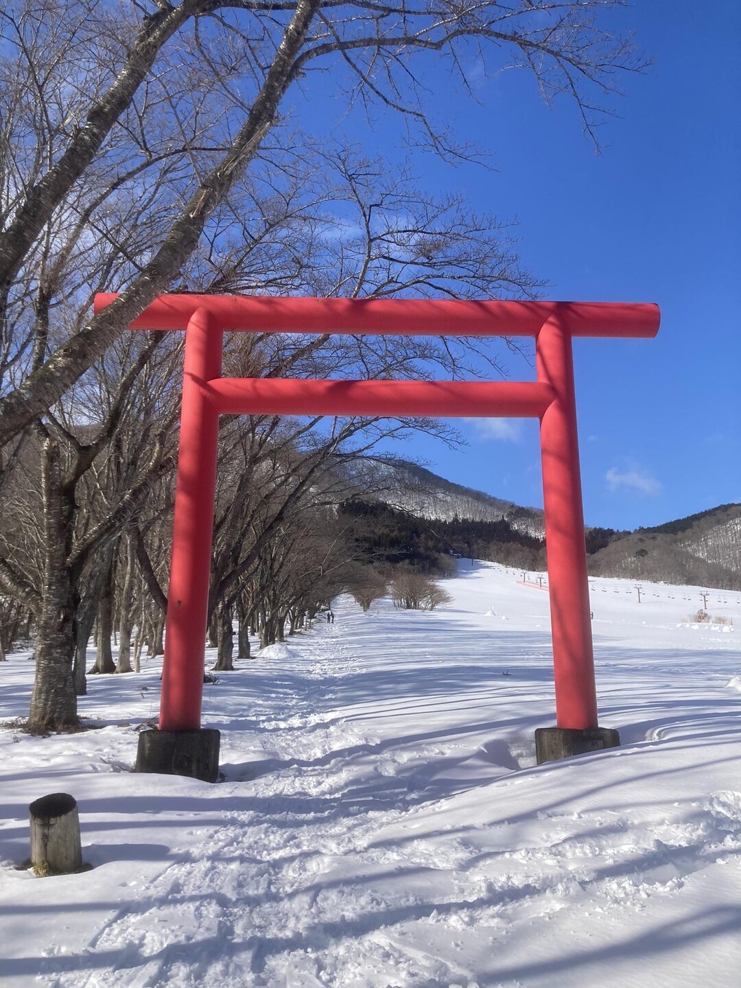 初スノーシューを初薬萊山で / かなかな0083さんの薬莱山の活動日記 | YAMAP / ヤマップ