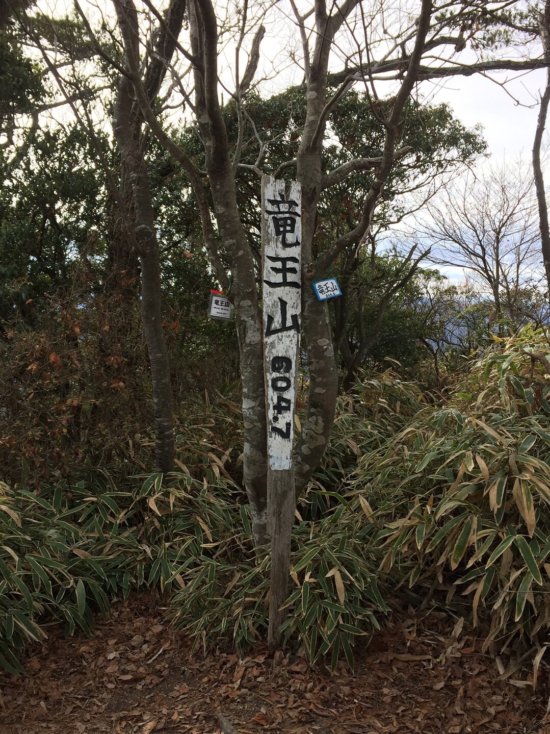 竜王山 / blackmanさんの金勝アルプス（鶏冠山・竜王山）の活動データ | YAMAP / ヤマップ