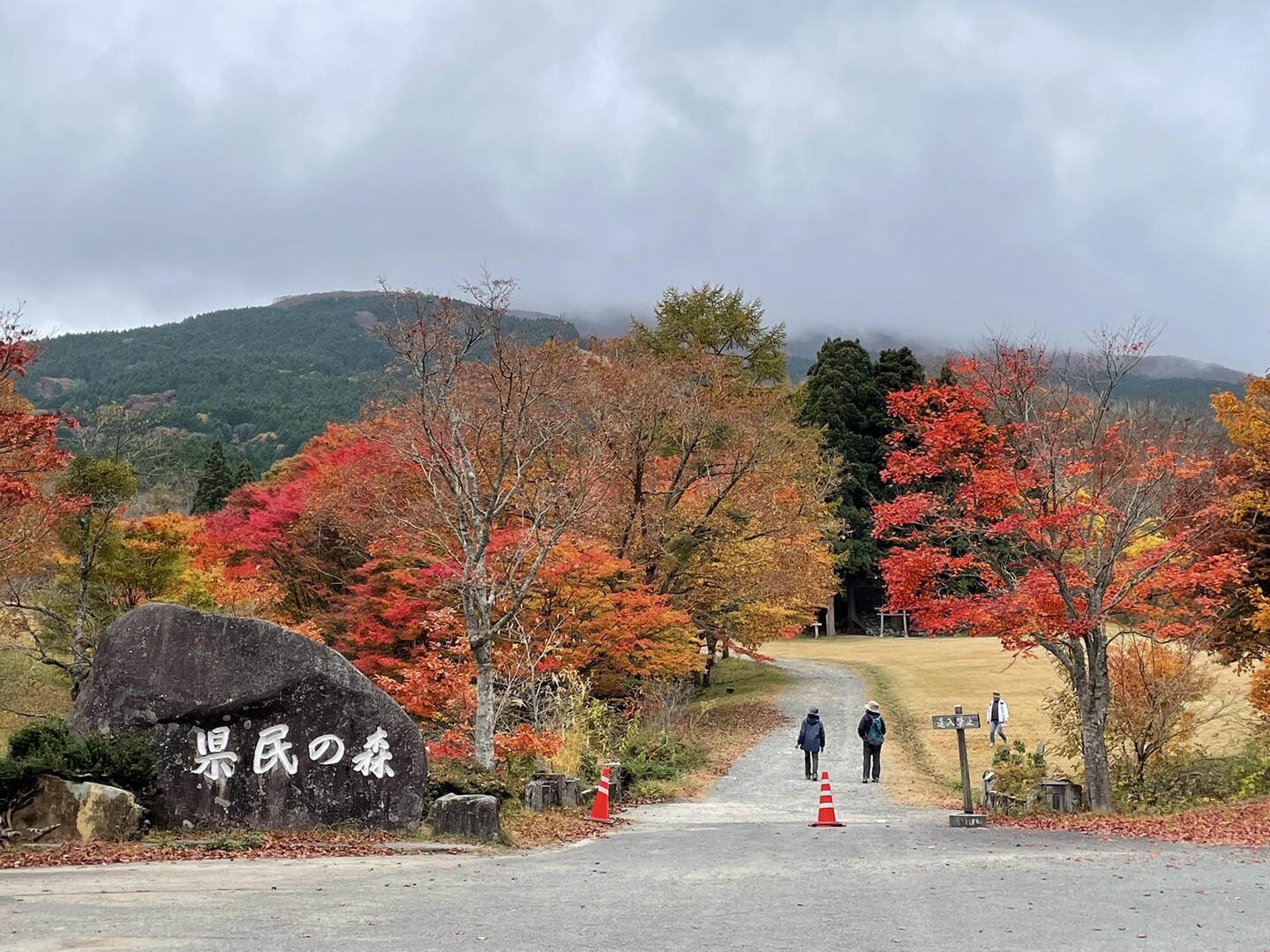 牛曳山・伊良谷山・毛無山 / Liliesさんの比婆山・立烏帽子山・吾妻山の活動データ | YAMAP / ヤマップ
