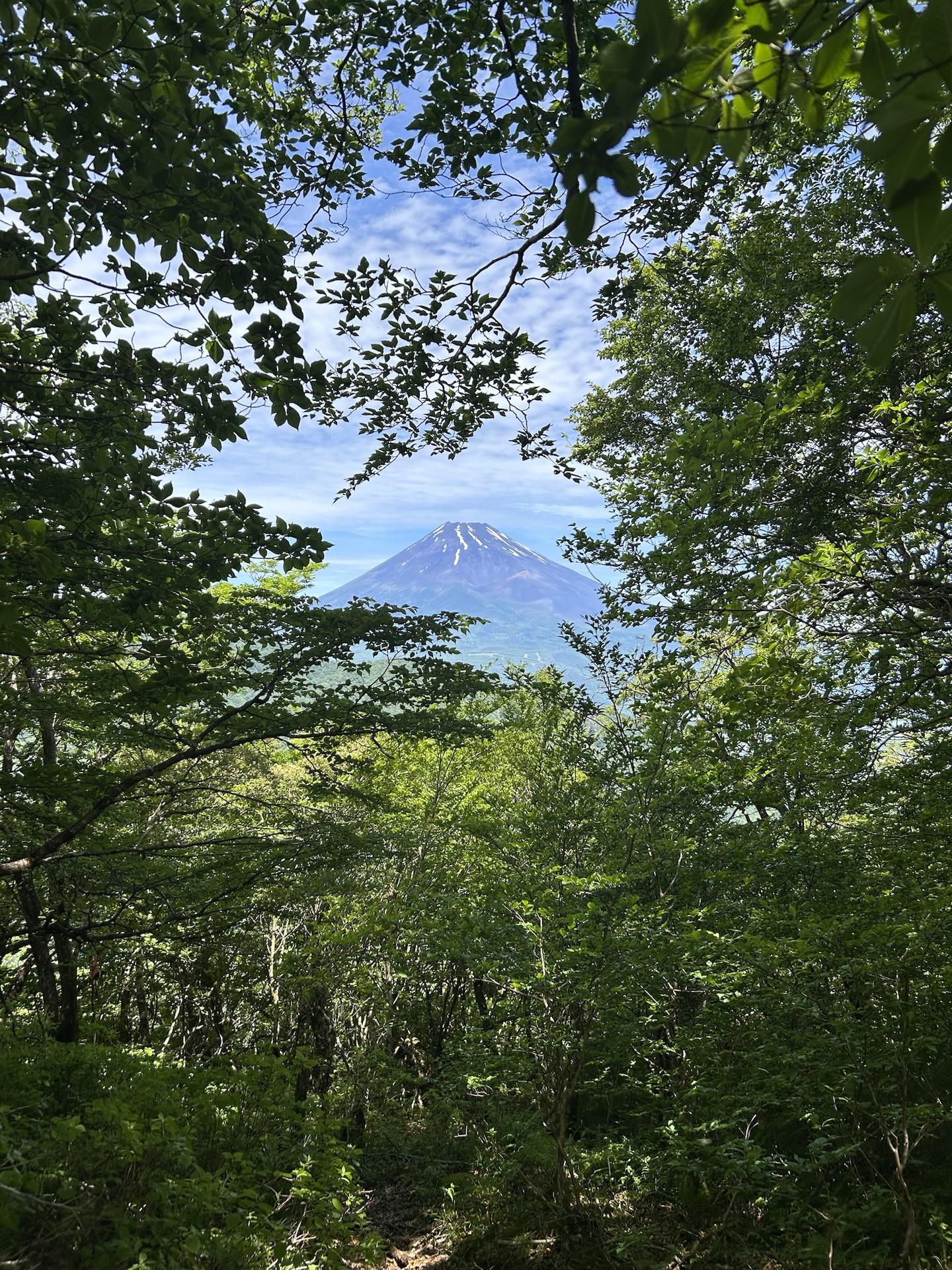 池の平・位牌岳・袴腰岳・愛鷹山 / uda19さんの愛鷹山・大岳・黒岳の活動日記 | YAMAP / ヤマップ