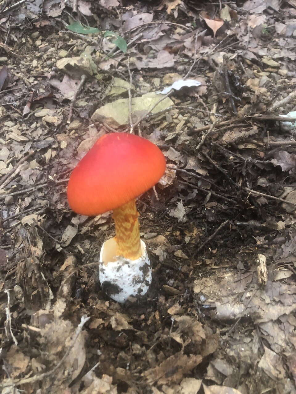 smpのページ | YAMAP / ヤマップ