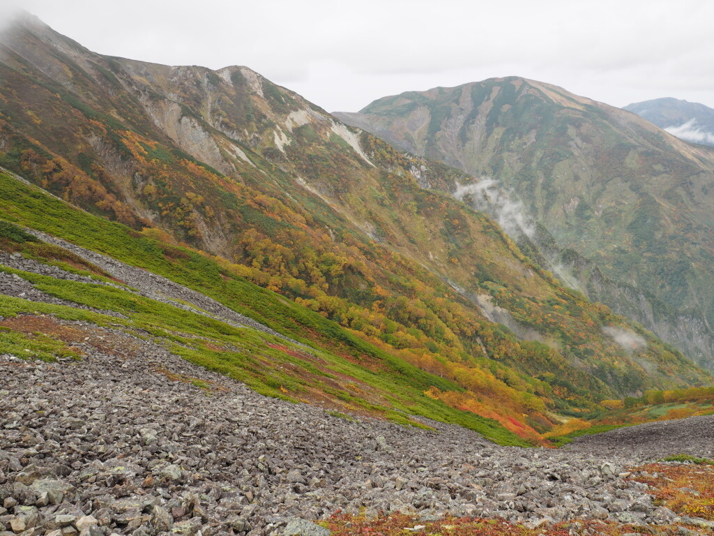 白馬岳から栂海新道蓮華温泉～白馬岳～朝日岳～親不知 白鳥山・下駒ヶ岳・犬ヶ岳の写真17枚目 色づく稜線 Yamap ヤマップ