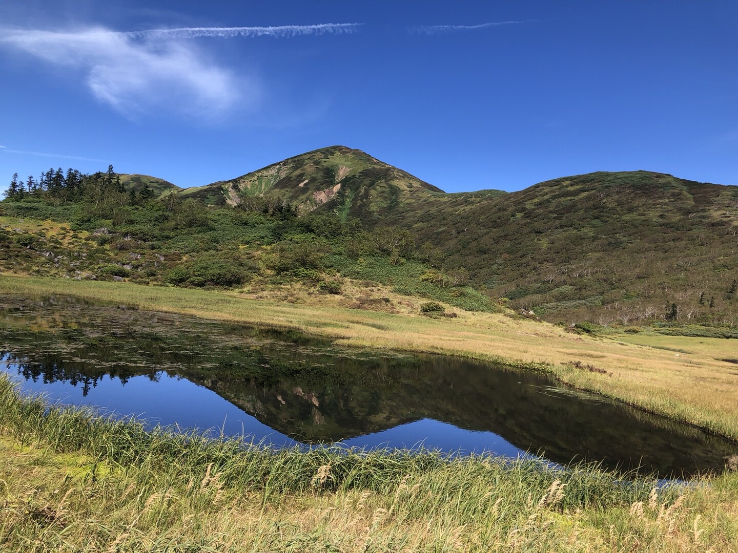 火打山は大賑わい・・・ / nakkoさんの登山の活動データ | YAMAP / ヤマップ