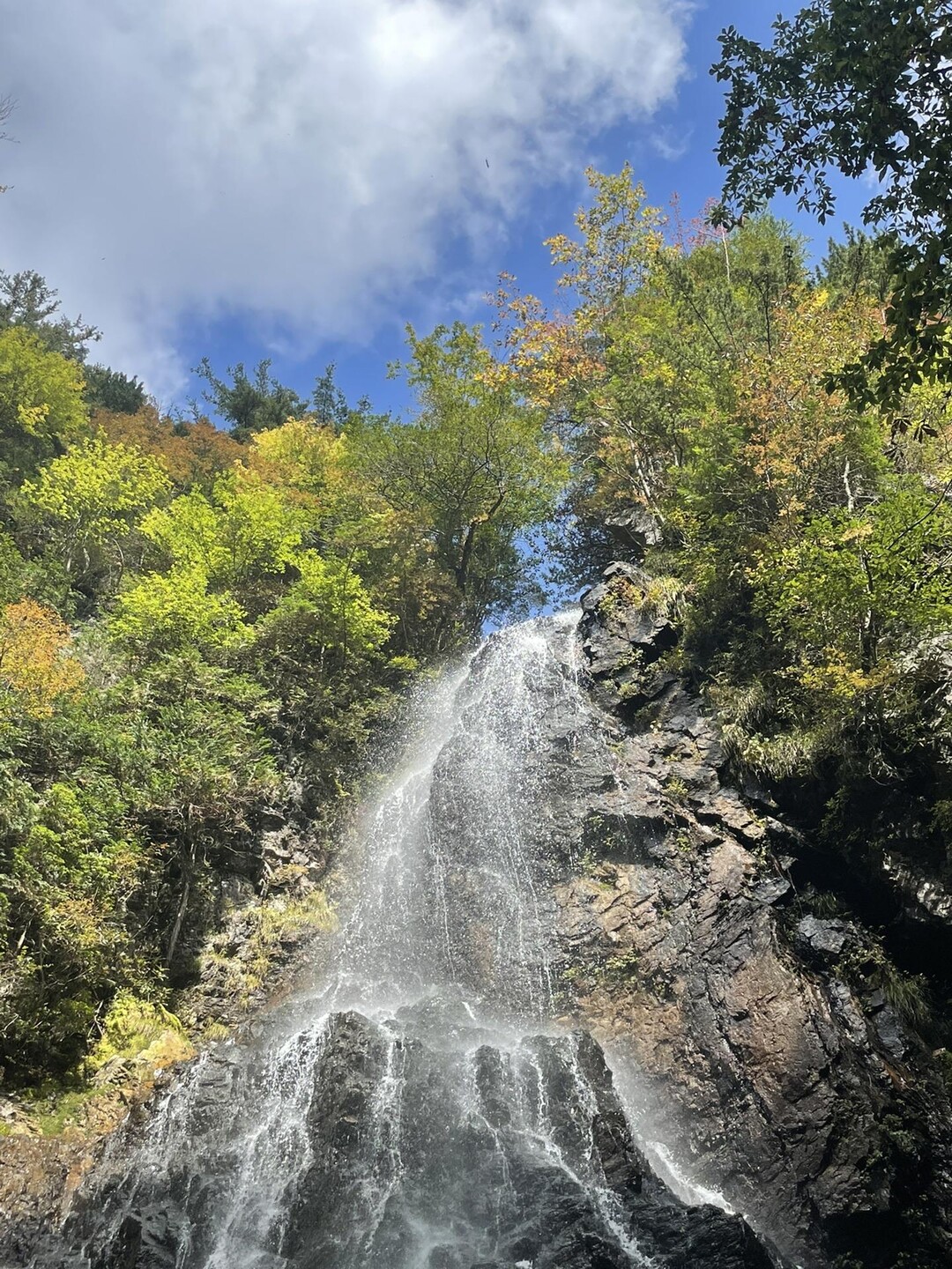 苔観察ツアーイベントin 井氷鹿 / Andyさんのウォーキングの活動データ | YAMAP / ヤマップ