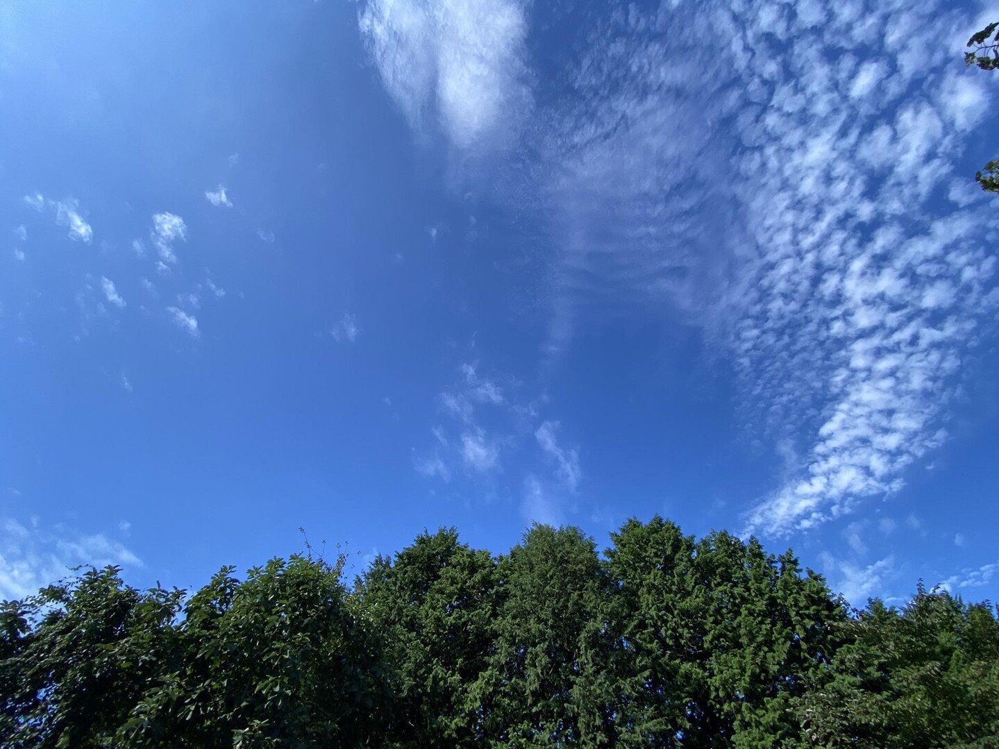 青梅丘陵ランニング-2022-09-25 / YUTAさんのランニングの活動日記 | YAMAP / ヤマップ