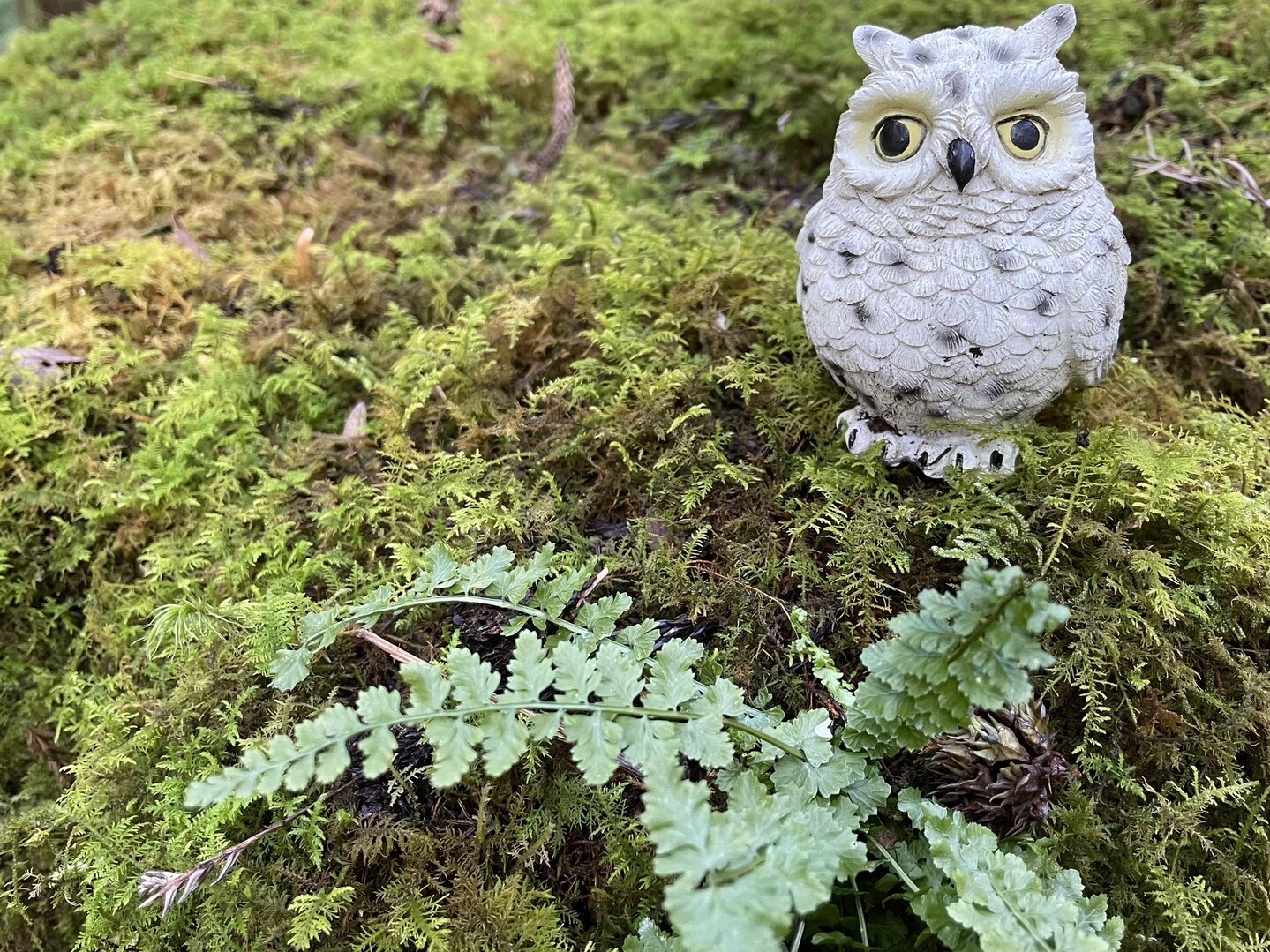 本明山 / なべ(ワンゲルOB)さんの本明山の活動日記 | YAMAP / ヤマップ
