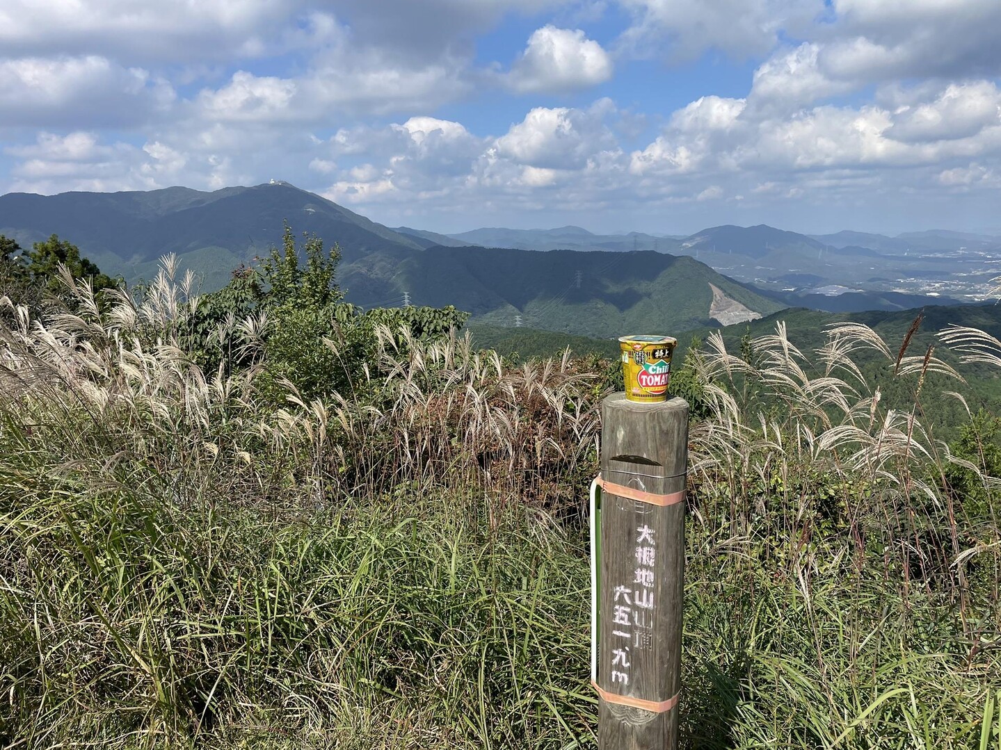 大根地山 / さんの大根地山の活動データ | YAMAP / ヤマップ