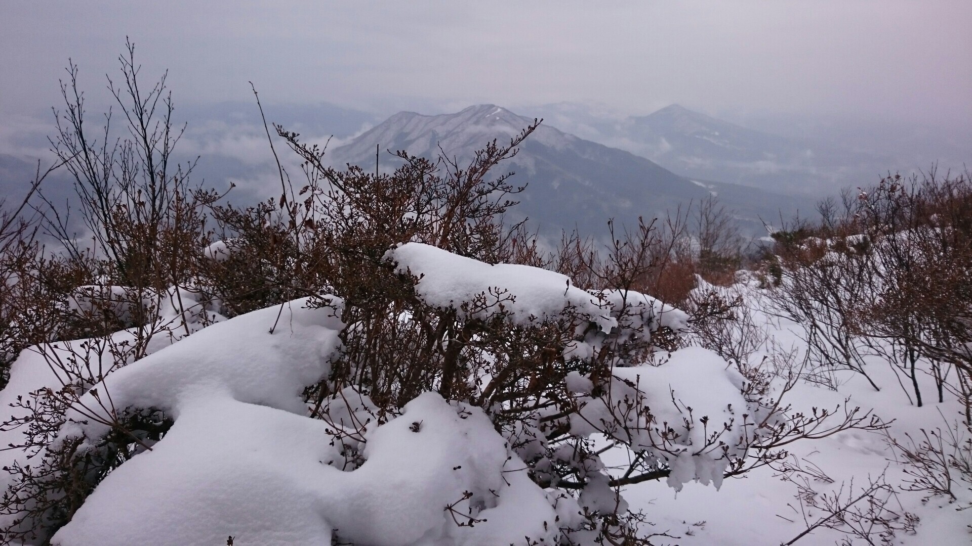 花見山ワカン登山 / ima3さんの宝仏山の活動日記 | YAMAP / ヤマップ