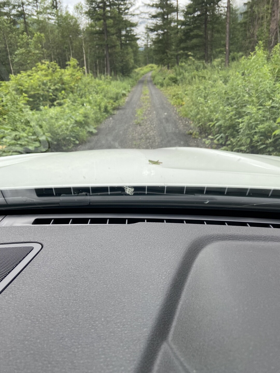 芽室岳 / TAKU-F26さんの芽室岳・久山岳・剣山の活動データ | YAMAP / ヤマップ