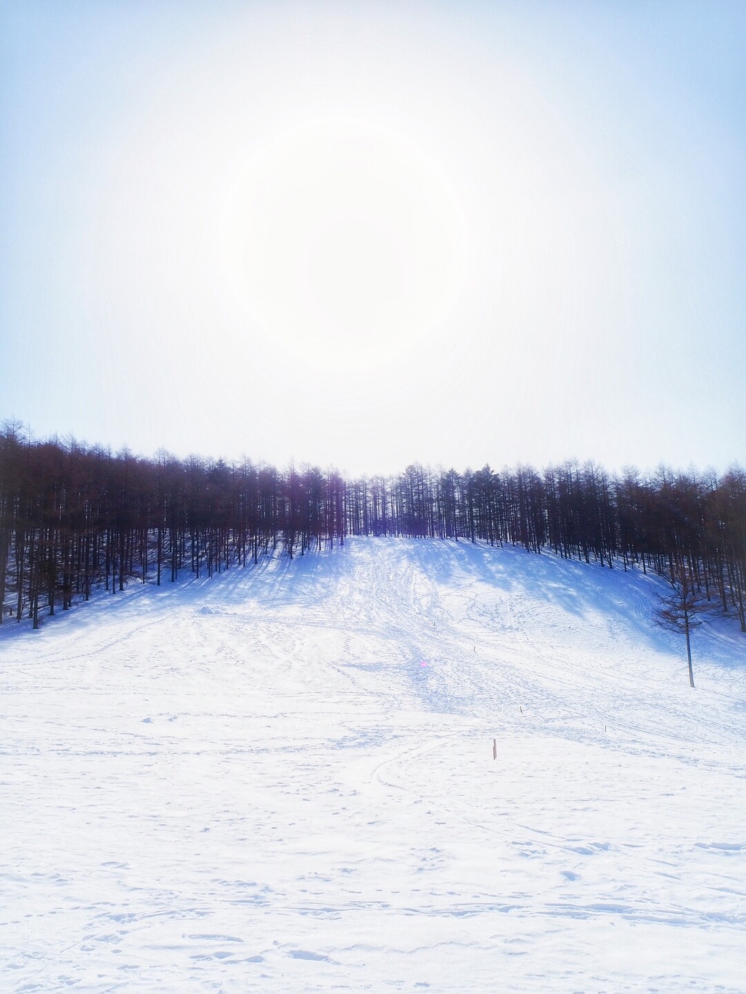 この度7月で埼玉への転勤が決まってしまい... / k.yさんのモーメント | YAMAP / ヤマップ